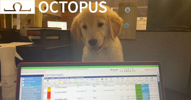 Choosing Octopus for Your Newsroom Computer System Needs | Octopus Newsroom