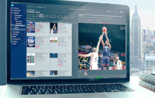 Octopus | Octopus Newsroom